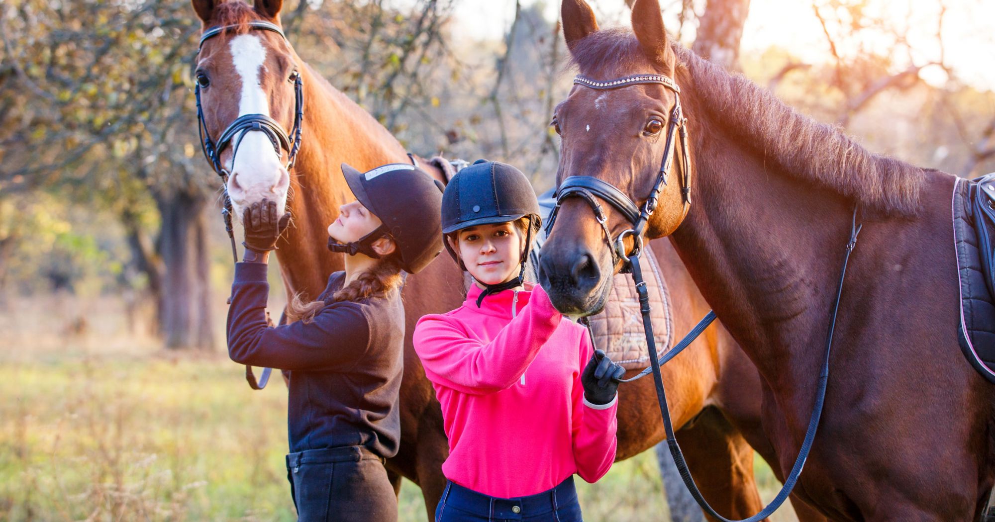 Equestrian History: Everything You Need To Know - thirdspacewellness