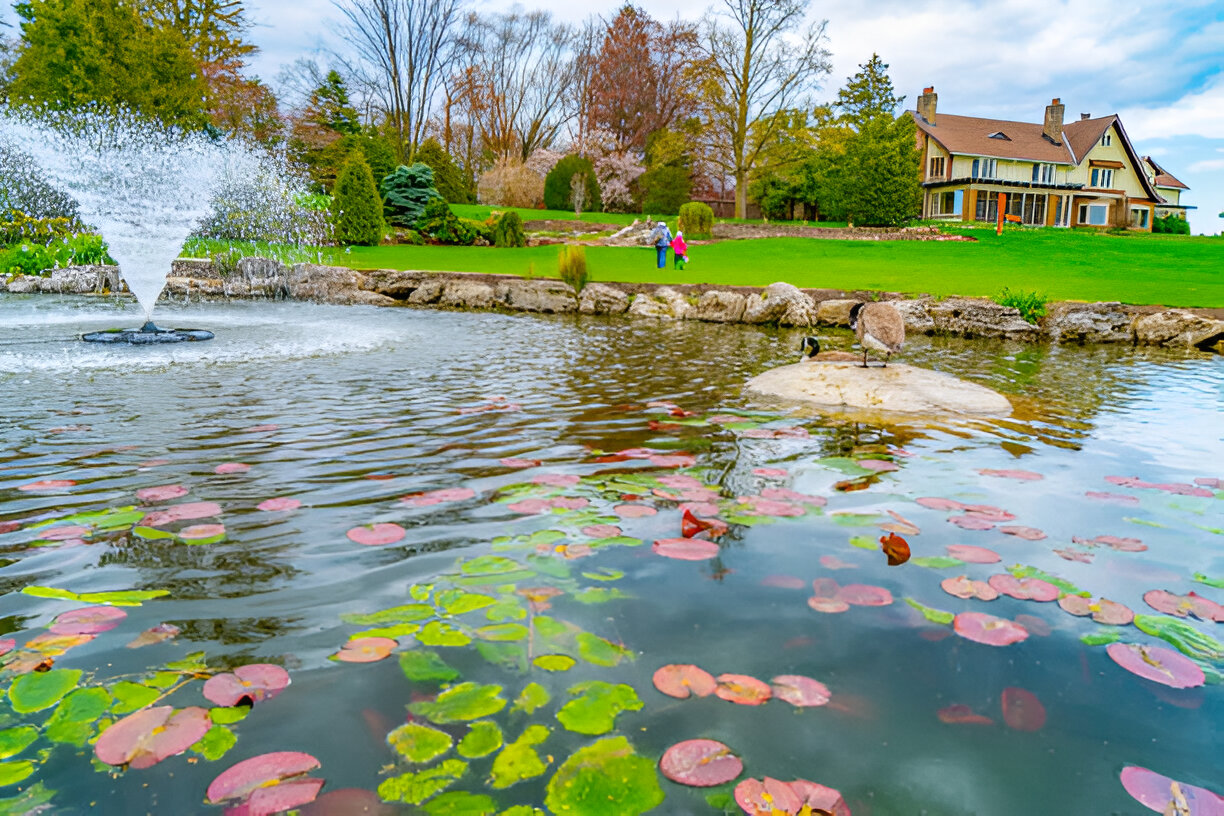 Five Factors to Boost Pond Water Clarity - thirdspacewellness